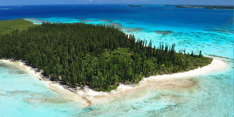 The Flora And Fauna Diversity Of New Caledonia – Kaledonie